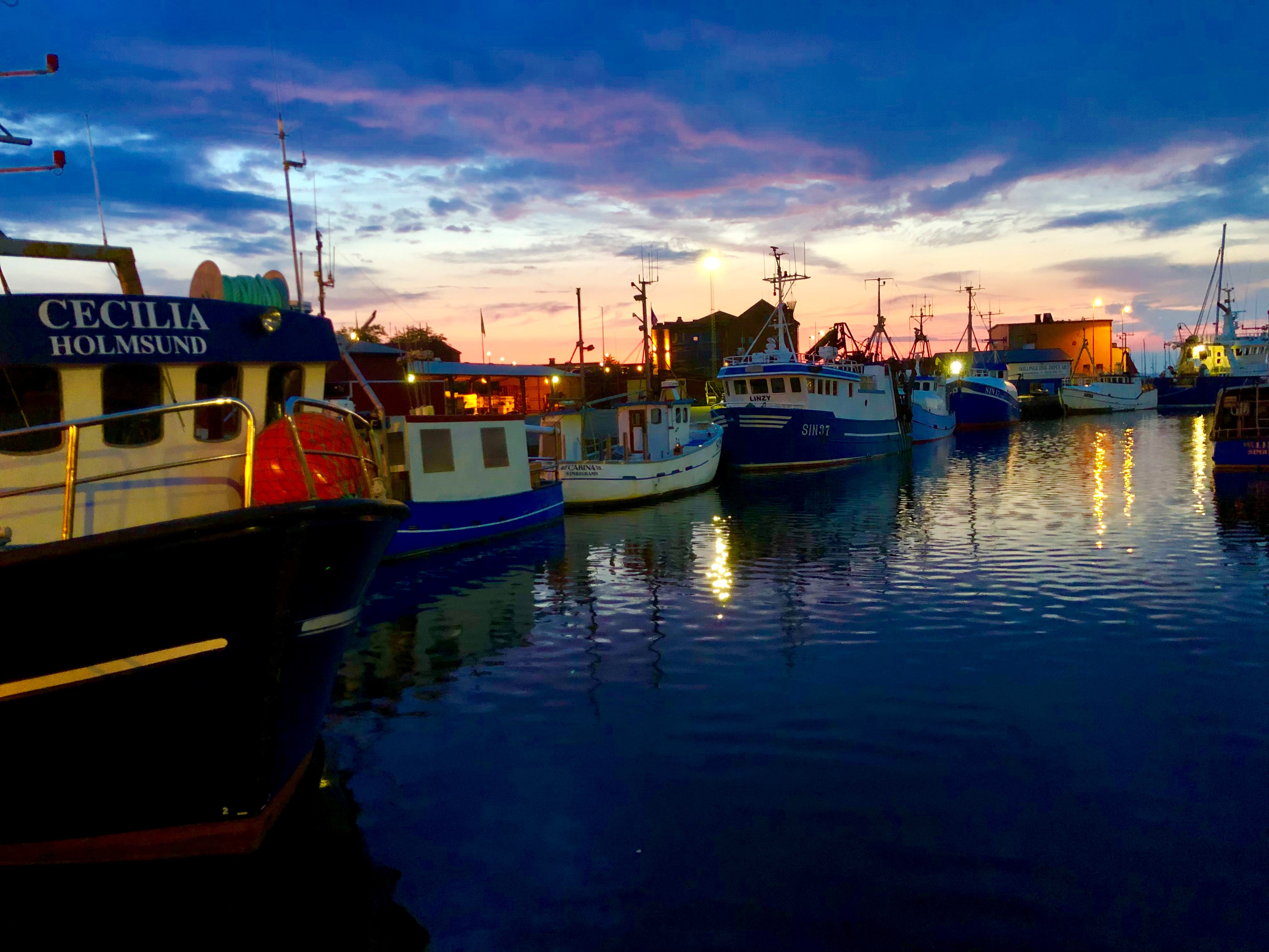 En tid då Simrishamn inte var en liten fiskehamn - Sveriges Fiskares ...